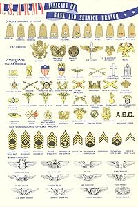Amazon.com: ART.COM Wall Art Print US Army Rank and Service Insignia ...