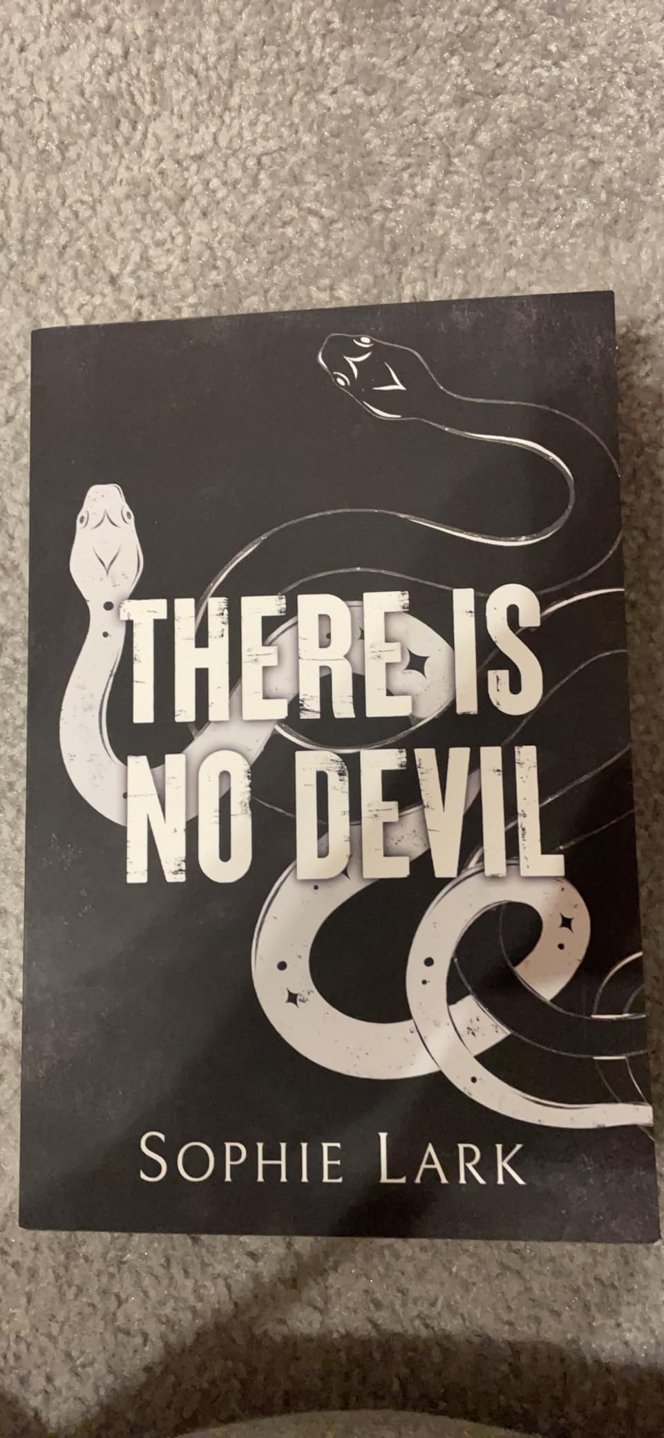 There Is No Devil (Sinners Duet Book 2) - Kindle edition by Lark ...