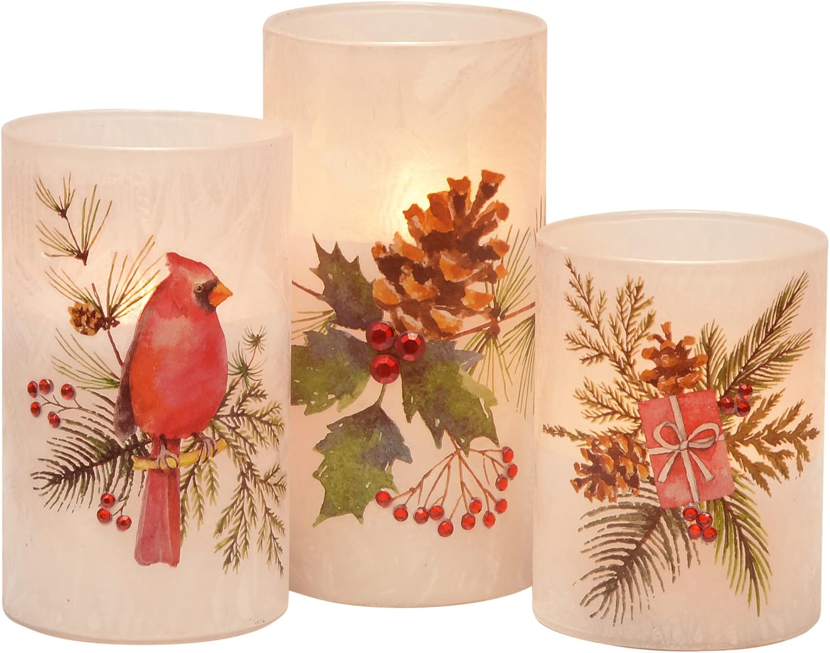 Amazon.com: Mark Feldstein & Associates LED Flameless Cardinal and ...