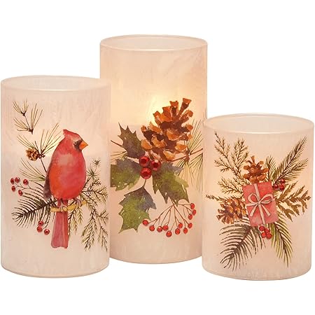 Amazon.com: LED Flameless Cardinal and Pinecones Jeweled Iced Glass ...