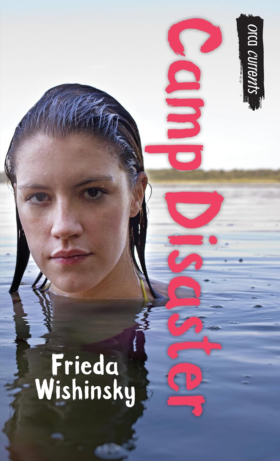 Amazon.com: Camp Disaster (Orca Currents): 9781459811140: Wishinsky ...