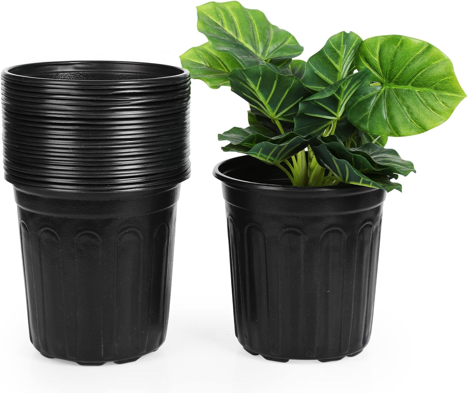 Amazon.com: Viagrow 1 Gal. Plastic Nursery Pots (3.78 Liters) 10-Pack ...