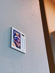 Brilliant Smart Home Control (2-Switch Panel) — Alexa Built-In ...