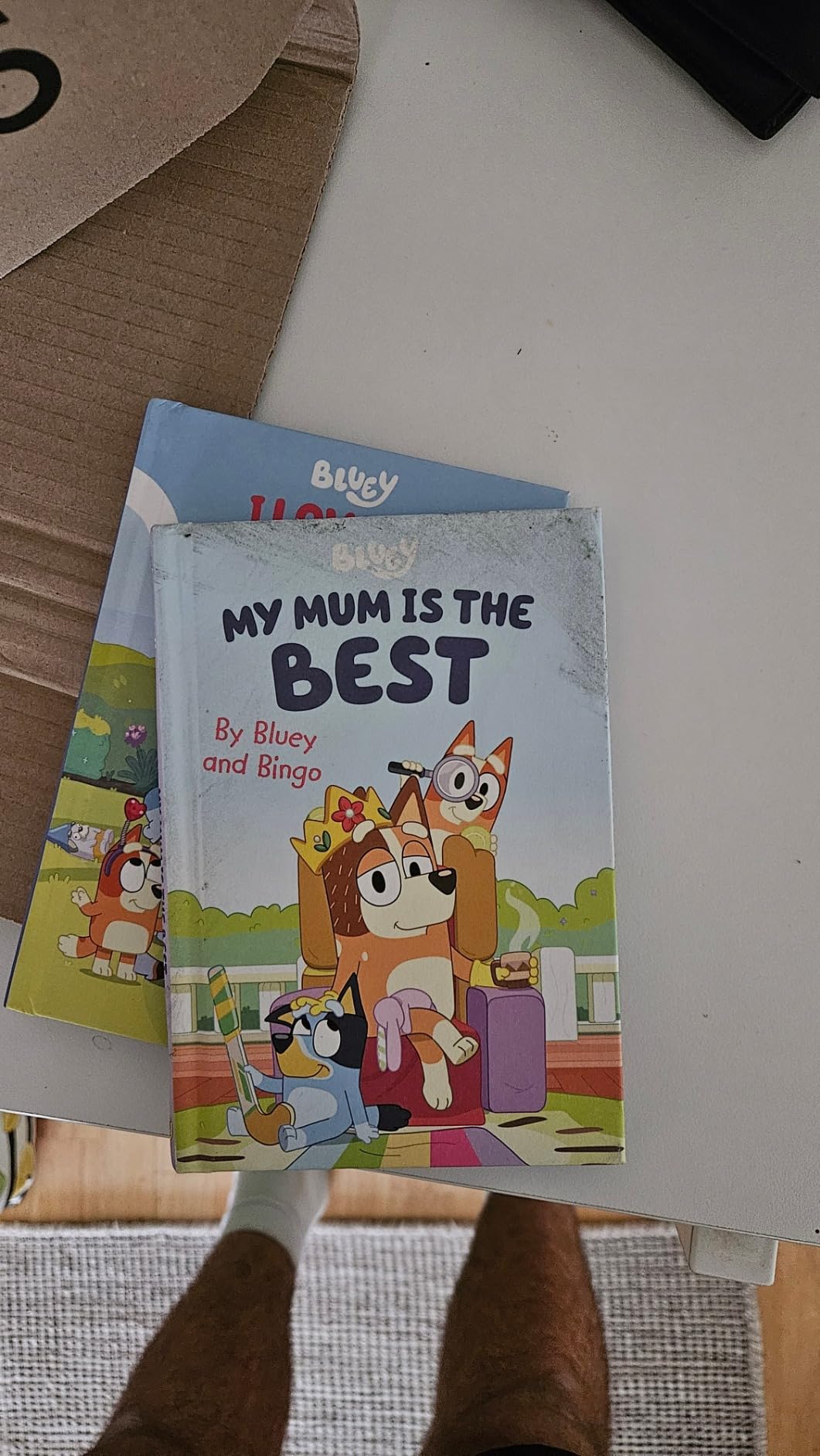Bluey: My Mum is the Best: A Mother's Day Book by Bluey and Bingo ...