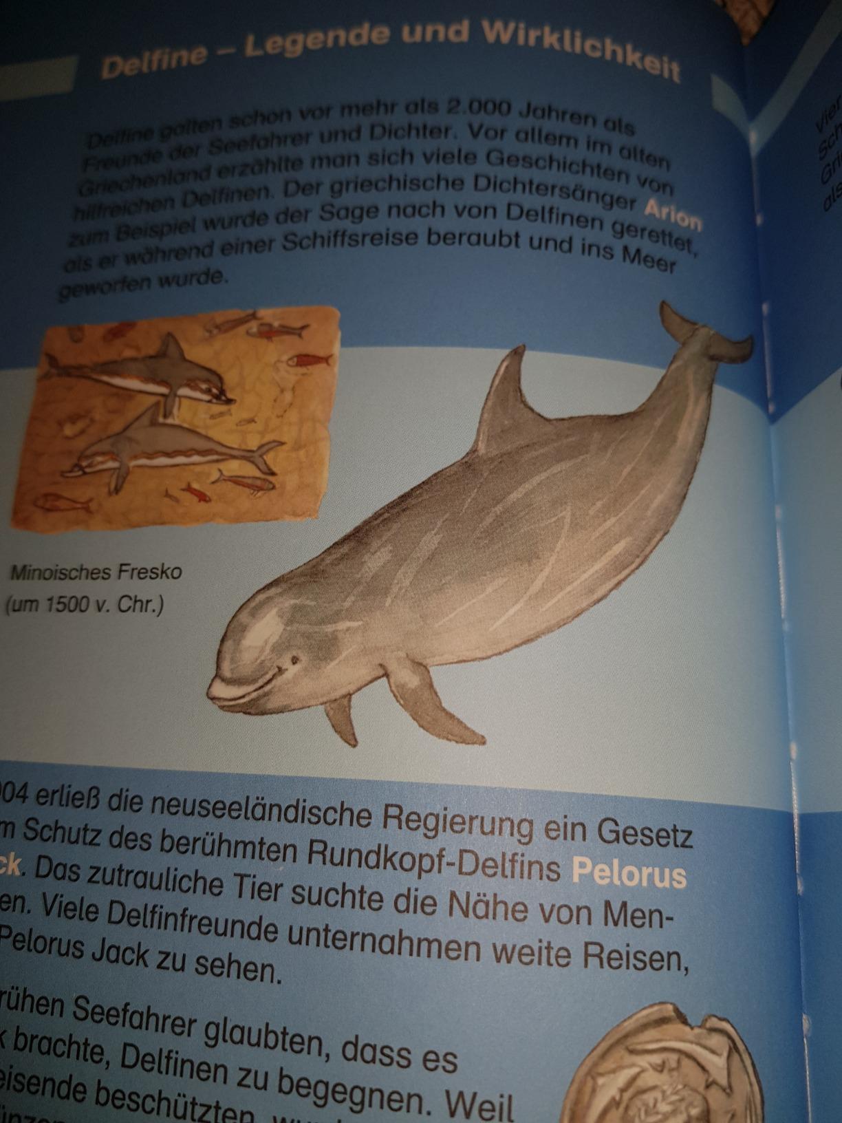Die schönsten Leselöwen-Delfingeschichten: Kinderbuch für Jungen und ...