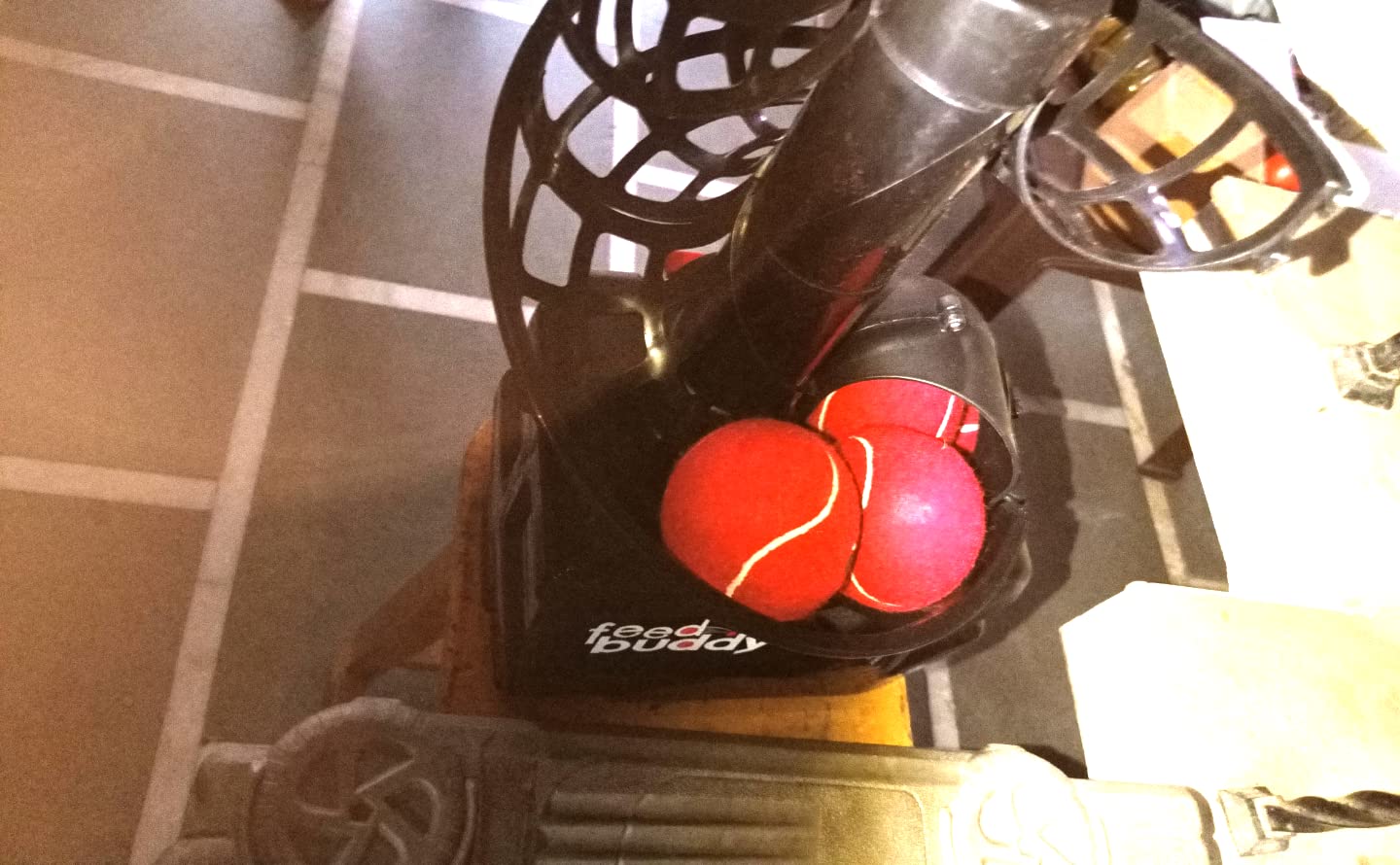 FEED BUDDY Plastic Automatic Cricket Feed Machine (Without Balls, Black ...
