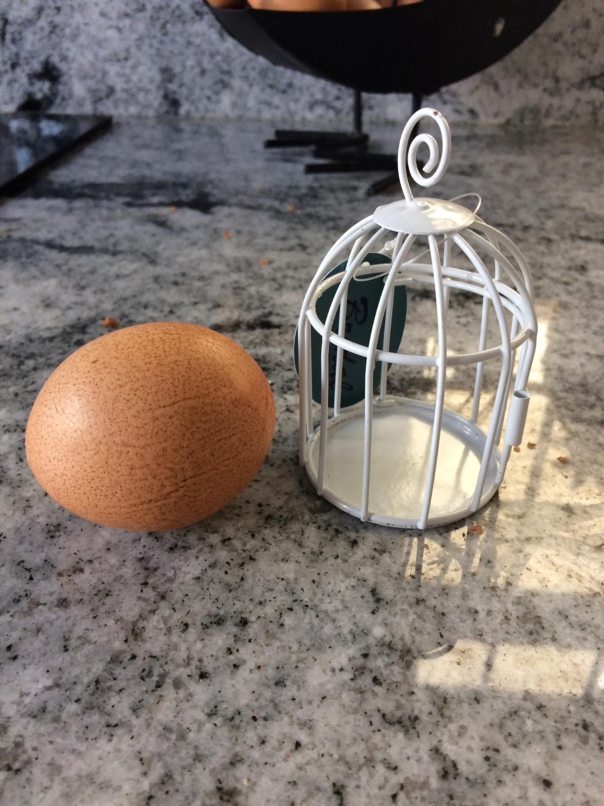 URBNLIVING White Wire Mesh Ball Hanger : Amazon.co.uk: Home & Kitchen