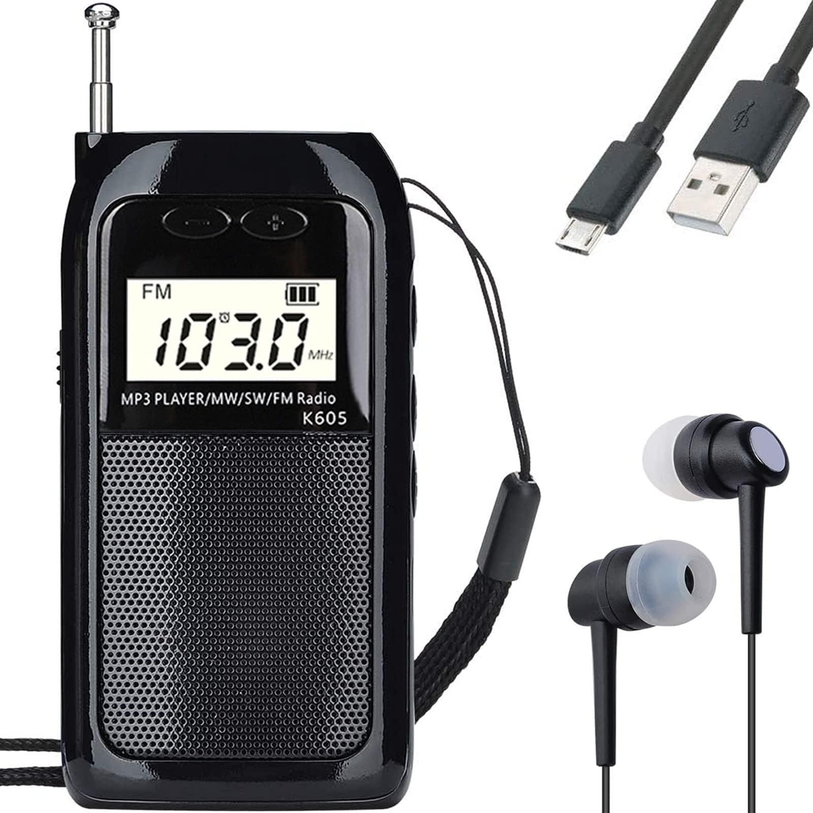 Amazon.com: HanRongDa Portable Radio FM AM Shortwave Walkman with ...