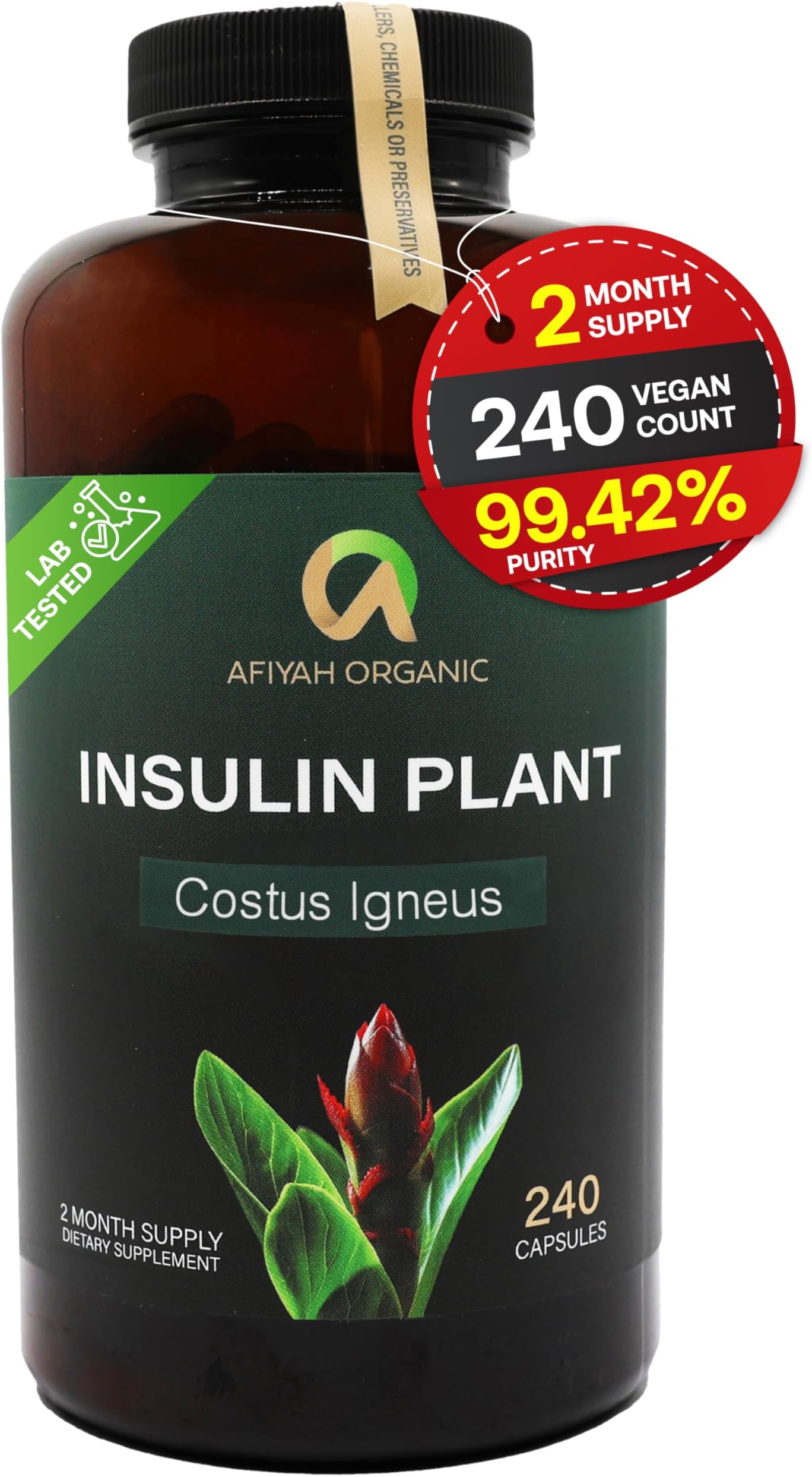 Amazon.com: ORGANOPLEX - Insulin Plant Powder (Costus Igneus), 100% ...