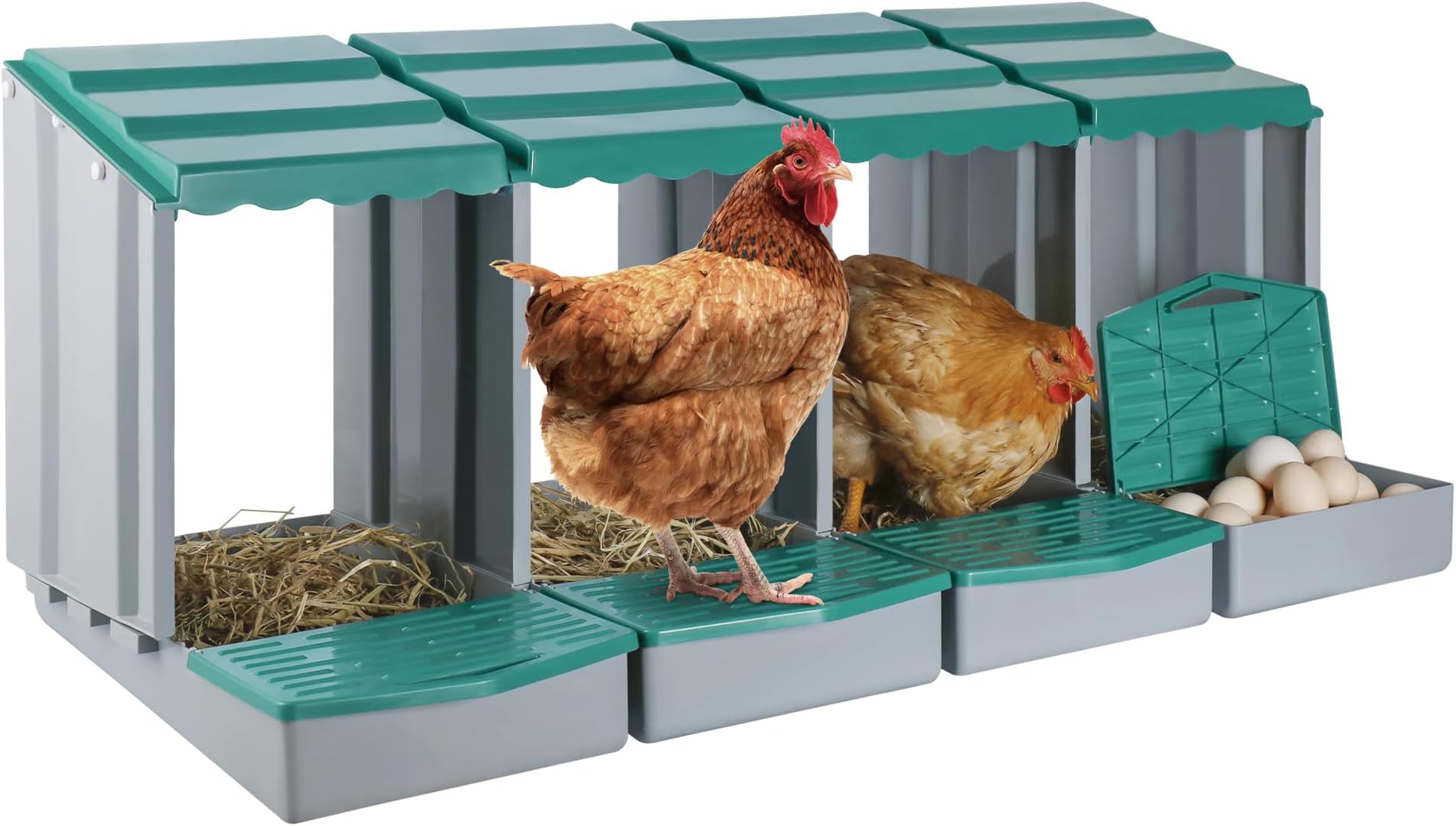 Amazon.com: EVERYGROW Chicken Nesting Boxes, Roll Away Nest Boxes for ...