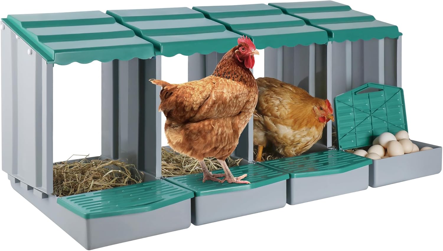 Amazon.com: EVERYGROW Chicken Nesting Boxes, Roll Away Nest Boxes for ...