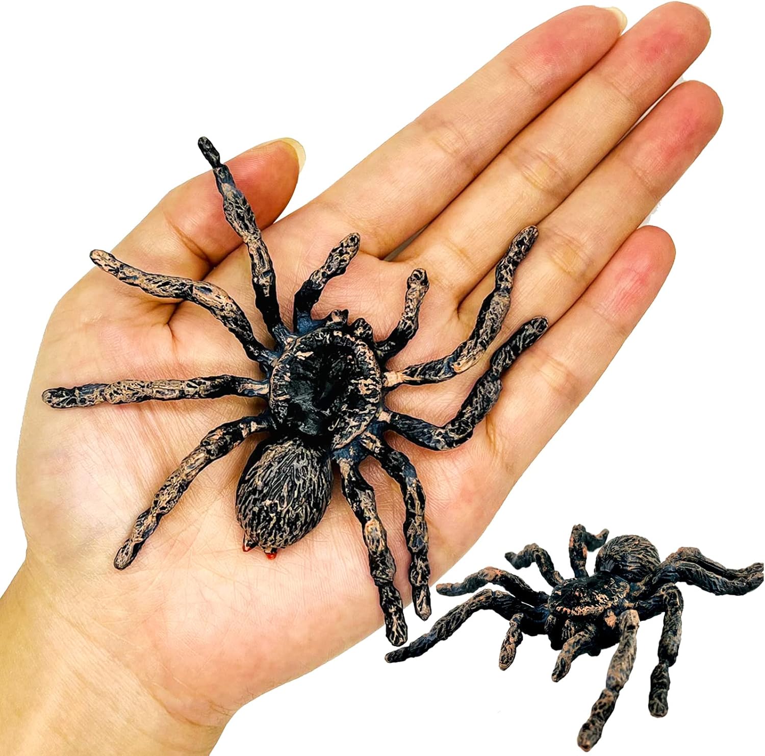 Amazon.com: Giant Realistic Spider, Fake Spider, Spider Action Model ...