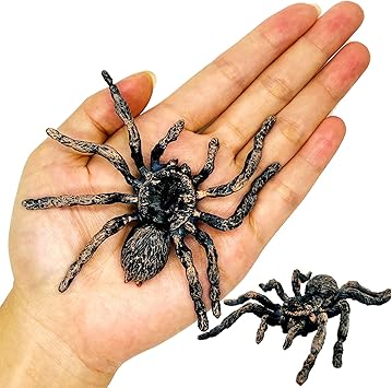 Amazon.com: Giant Realistic Spider, Fake Spider, Spider Action Model ...