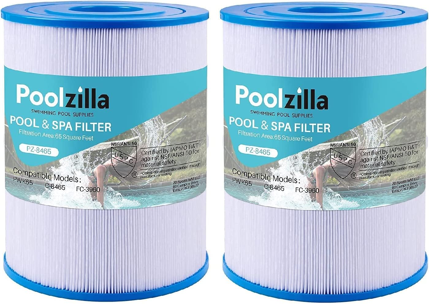 Amazon.com : Poolzilla 2-Pack Spa Filter Cartridge Replacement for ...