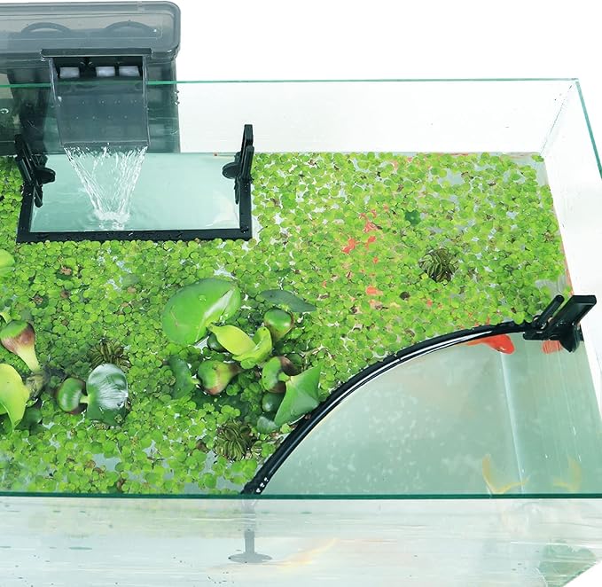 HOZOE Aquarium Floating Plant Corral, Intercepting Floating Plants from ...
