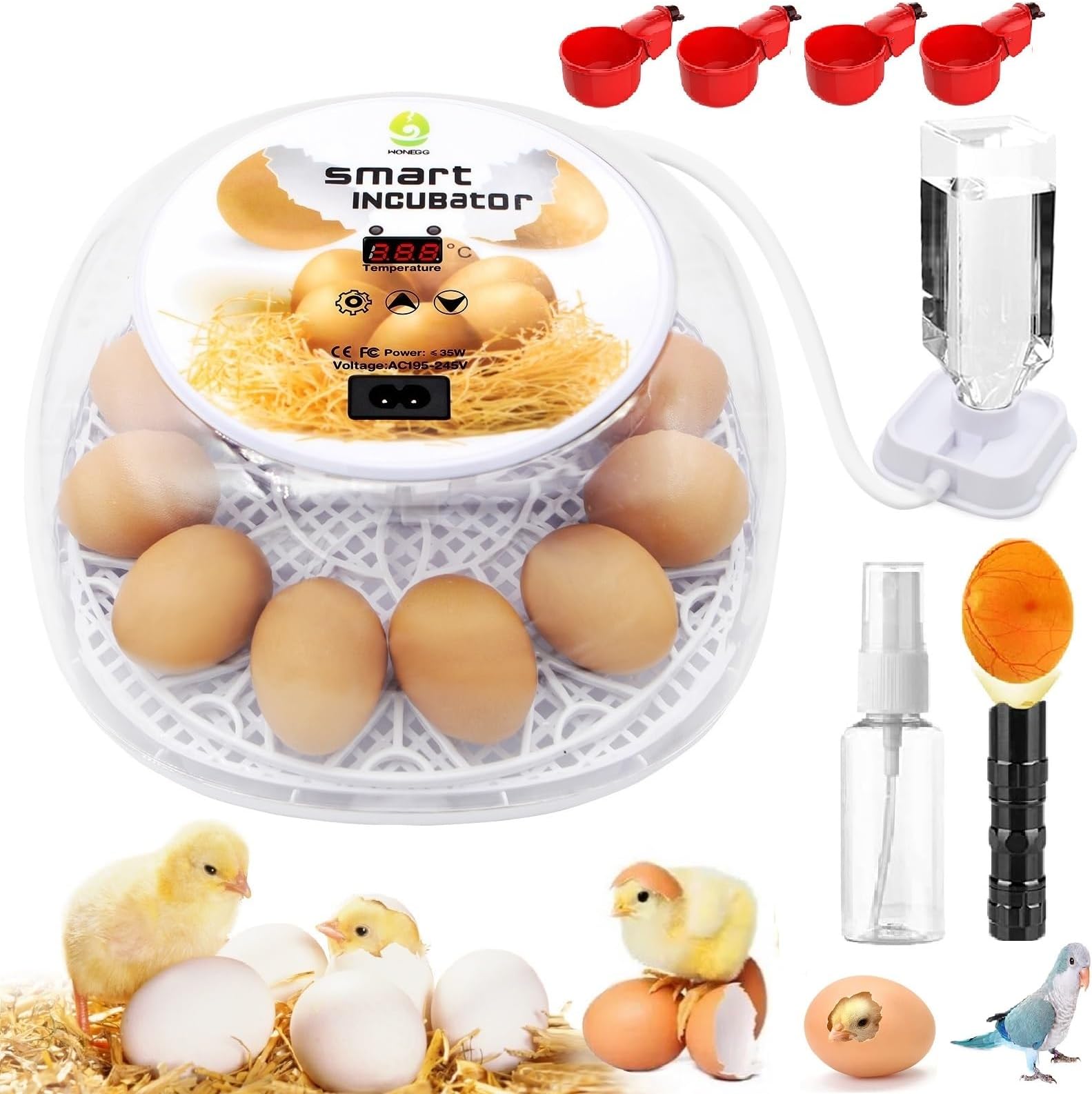 Amazon.com: Egg Incubators, 16-32 Eggs Incubator for Hatching Eggs with Automatic Egg Turning ...
