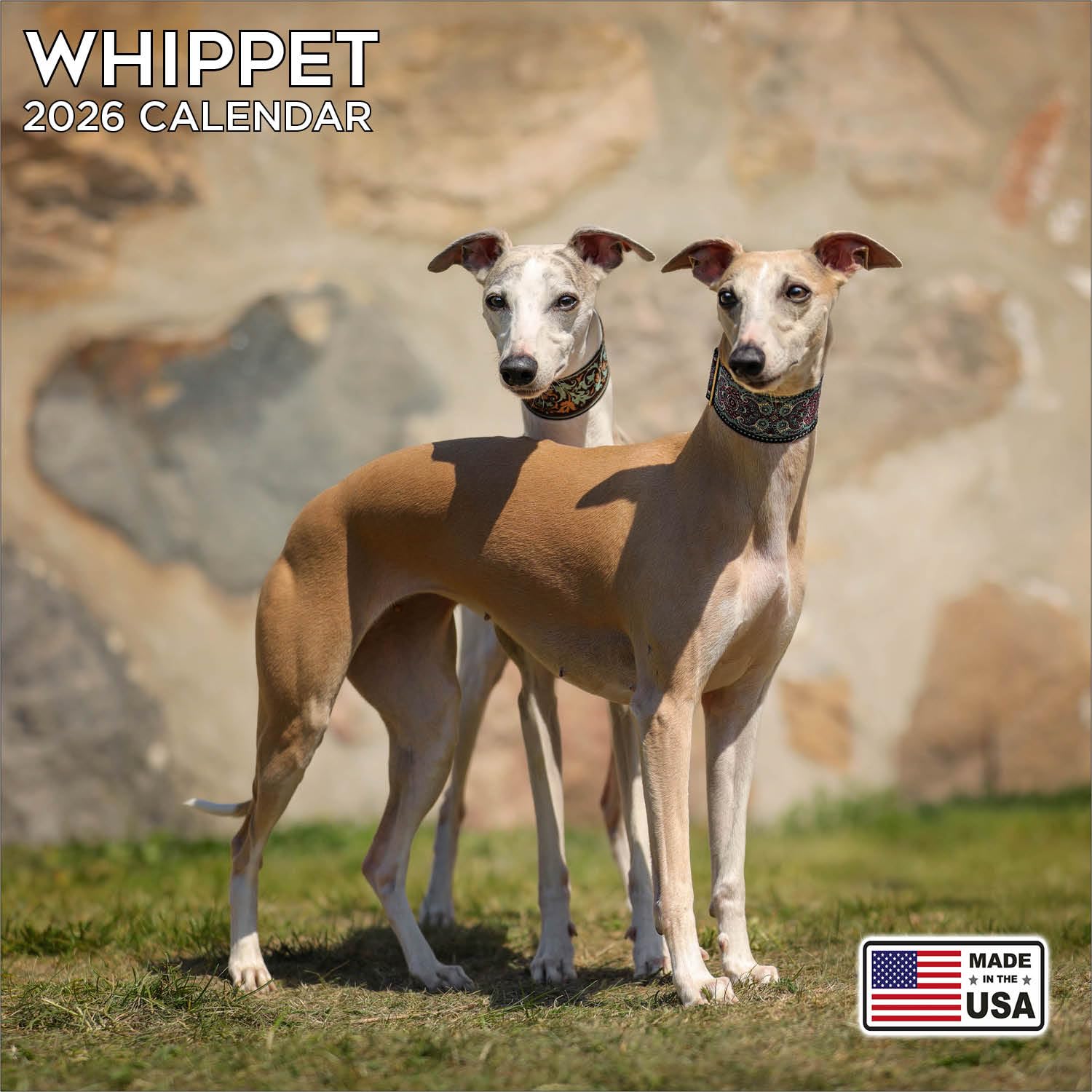 Snapklik.com : 2026 Whippet Calendar - Dog Breed Wall Calendar - 12 X ...