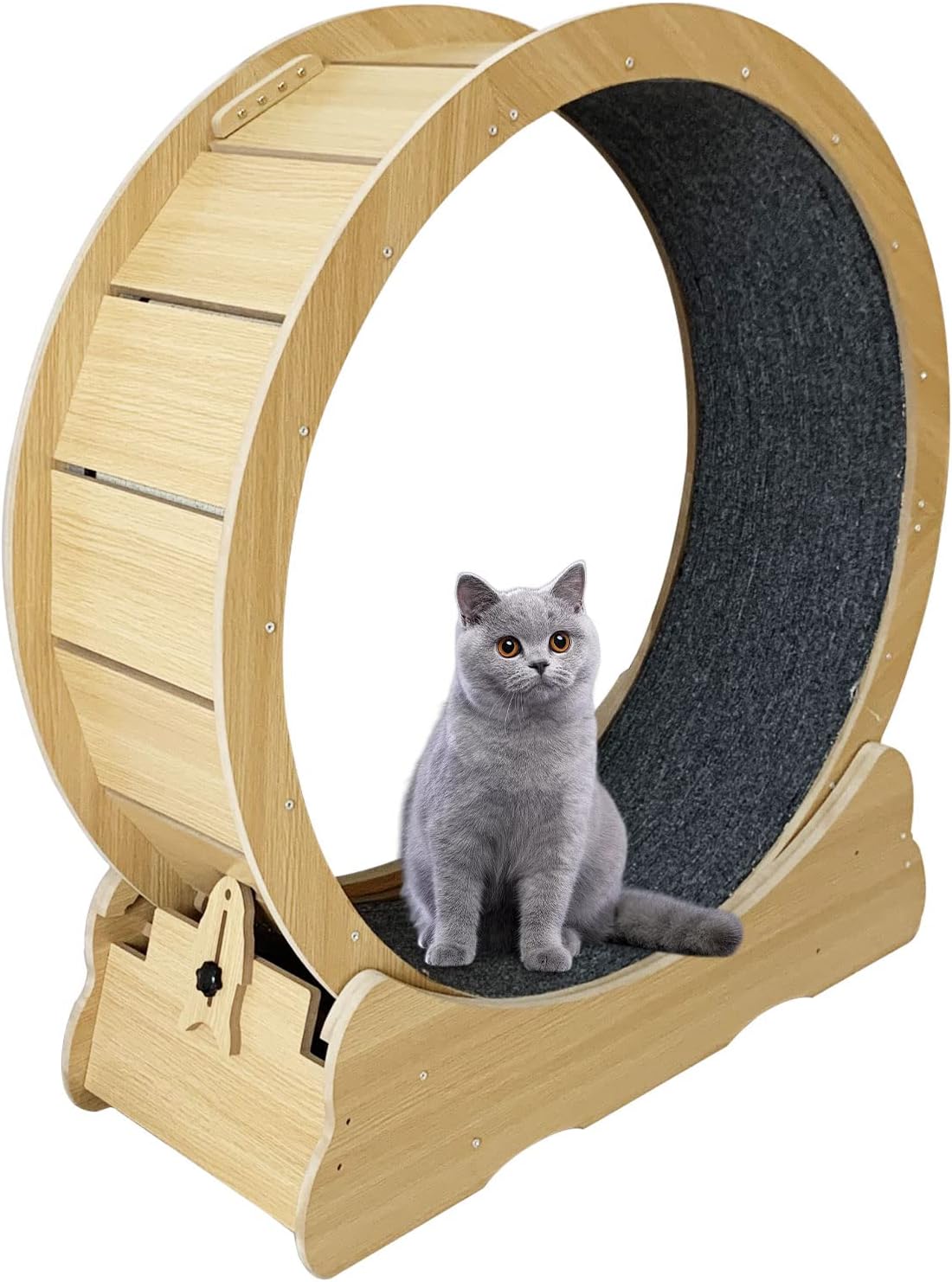 Amazon.com : Cat Exercise Wheel Treadmill Large Cats Indoor Cats ...