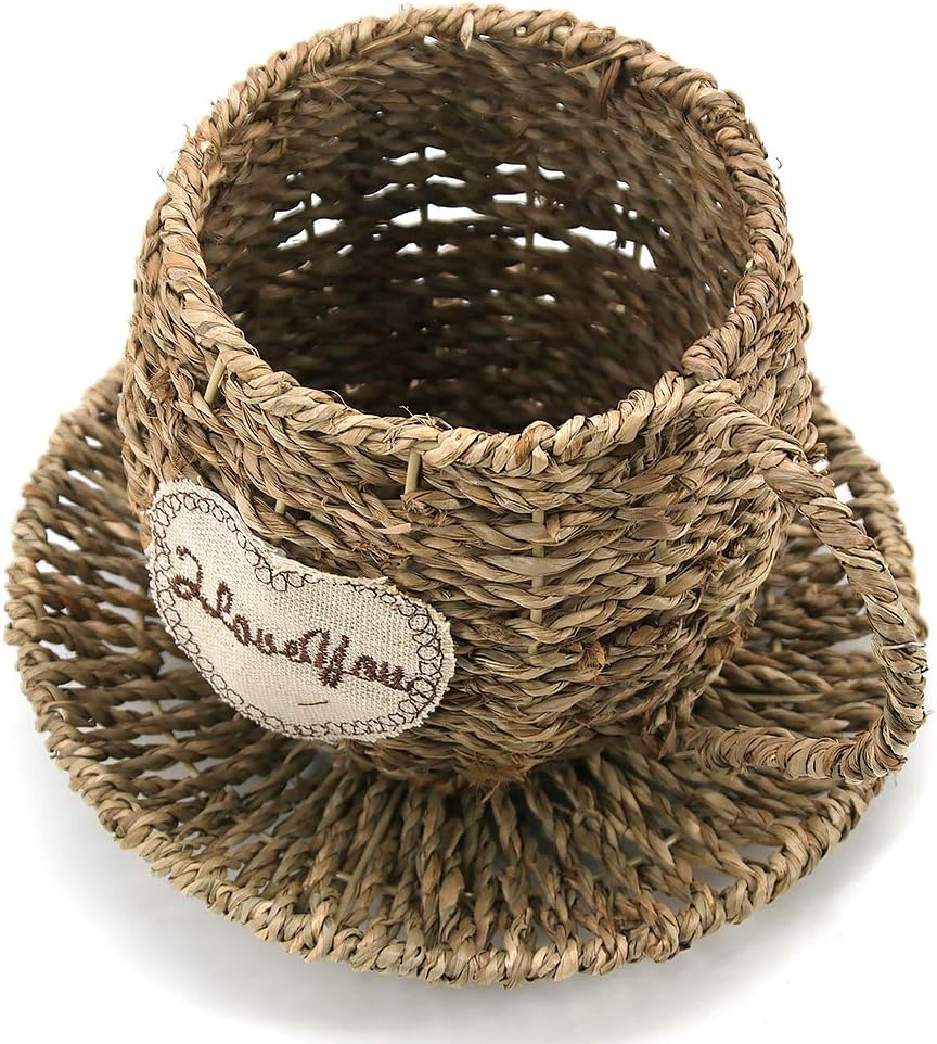 Skystuff Willow Teacup Planters Small Plant Pots Cup and Saucer Planter ...