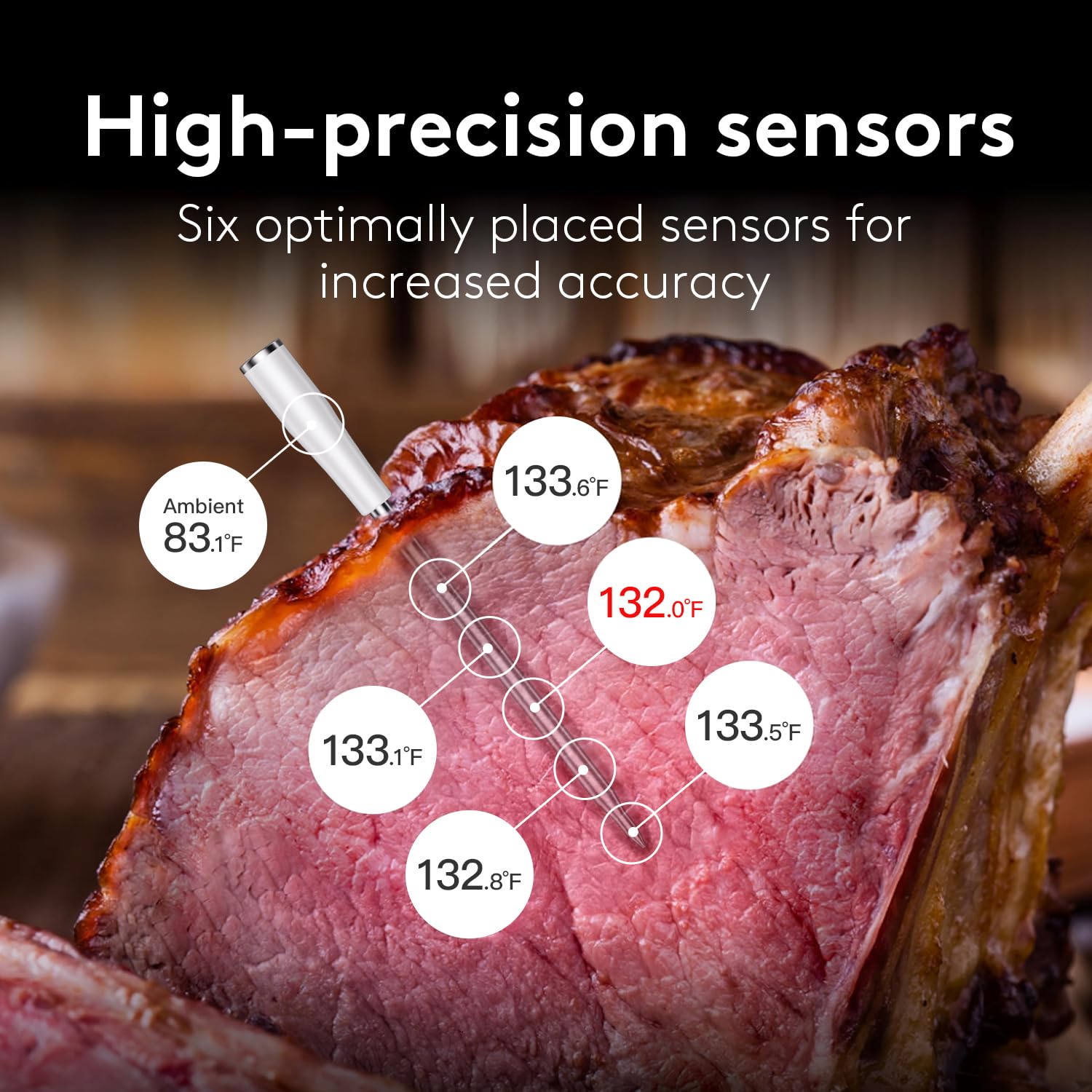Snapklik.com : Wireless Meat Thermometer High Accuracy Ceramics Probe ...