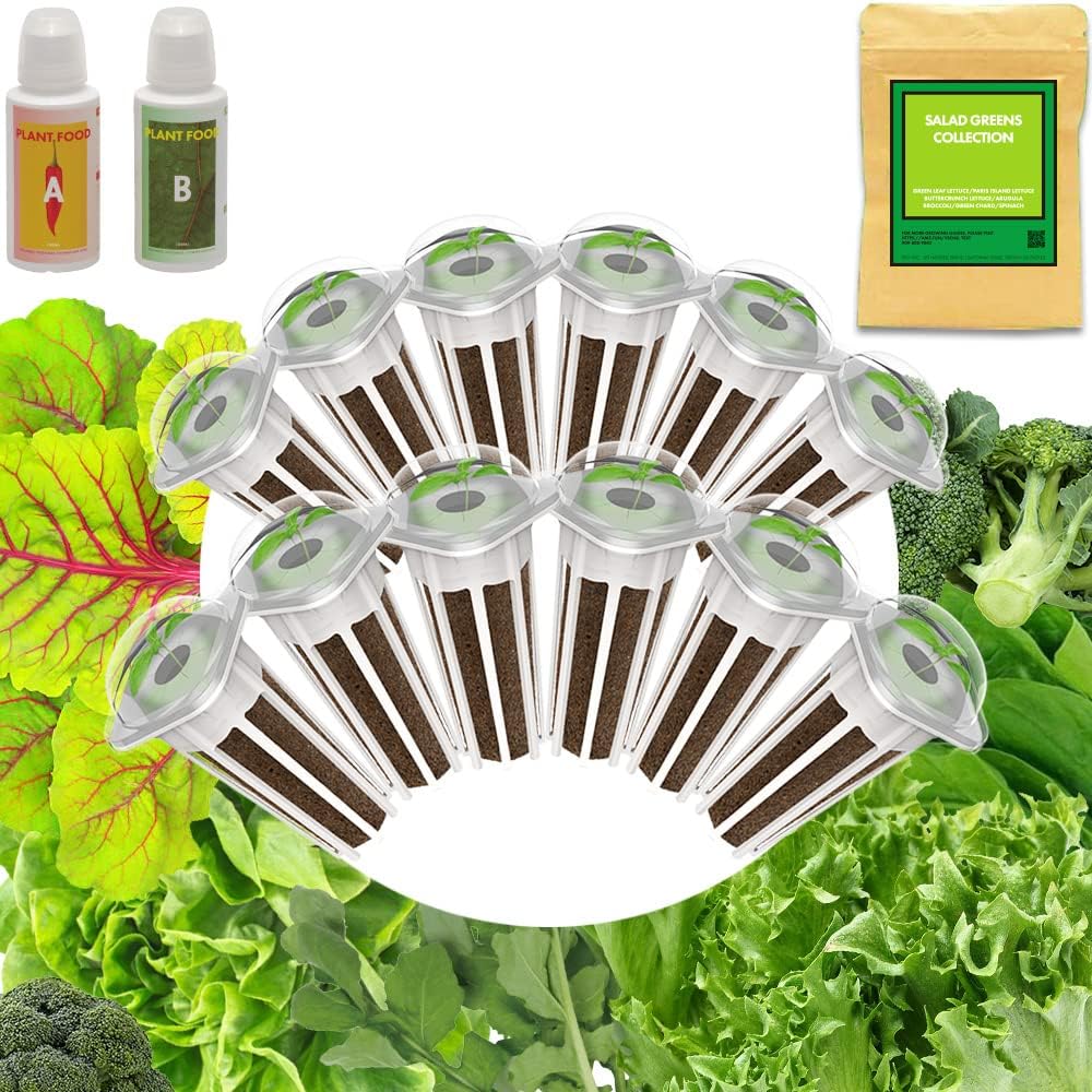 Amazon.com : LYKO Lettuce Spinach Broccoli Seed Starter Kit for ...