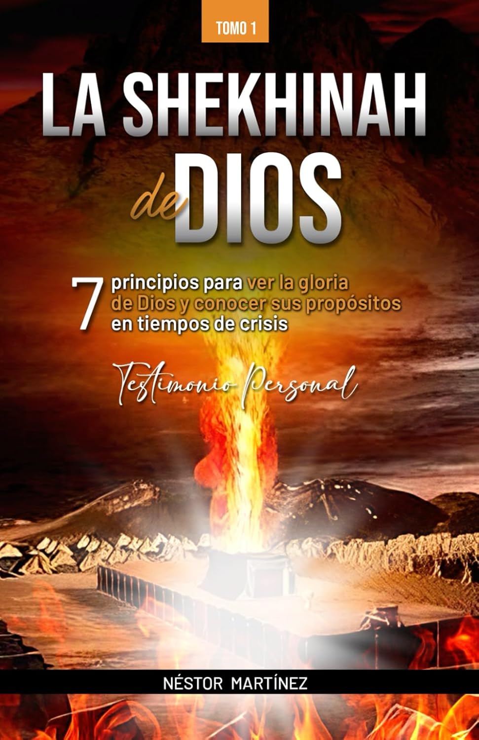 La Shekinah de Dios (Spanish Edition): MARTINEZ, NESTOR: 9798875854231 ...