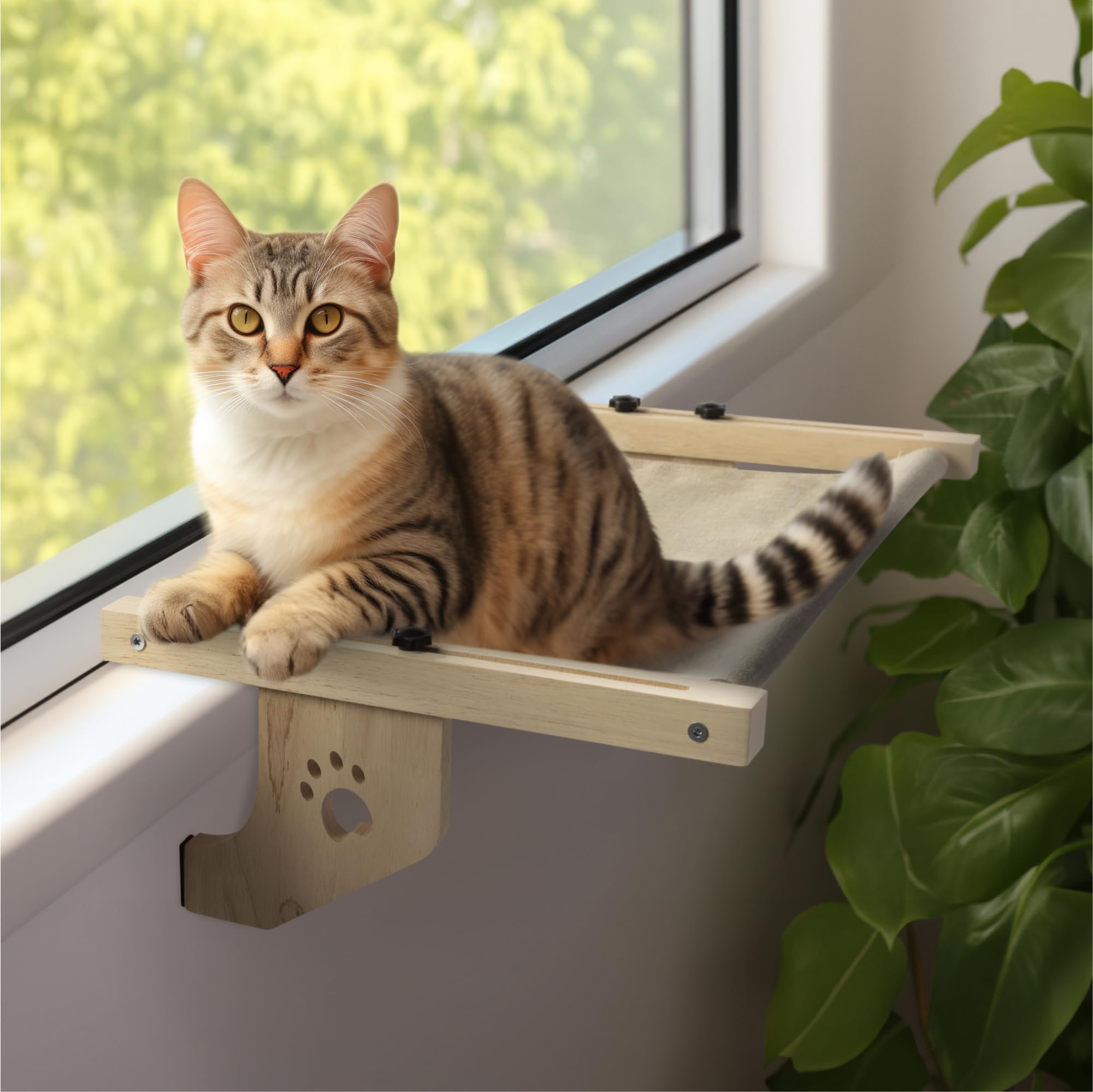 Amazon.com : Putago Cat Window Perch with Scratching Post, Wood Window ...