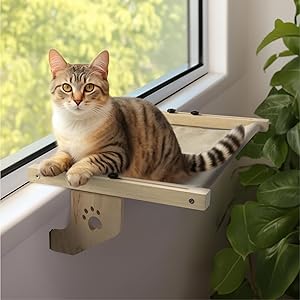 Navaris Cat Window Perch for Large Cats - Heavy Duty Wooden Cat Window ...