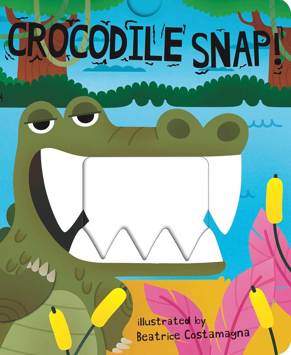 Crocodile Snap! (Crunchy Board Books): Amazon.co.uk: Costamagna ...