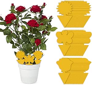 60 pièces Pièges à Insectes, Attrape Moucheron Plantes,Double Face ...