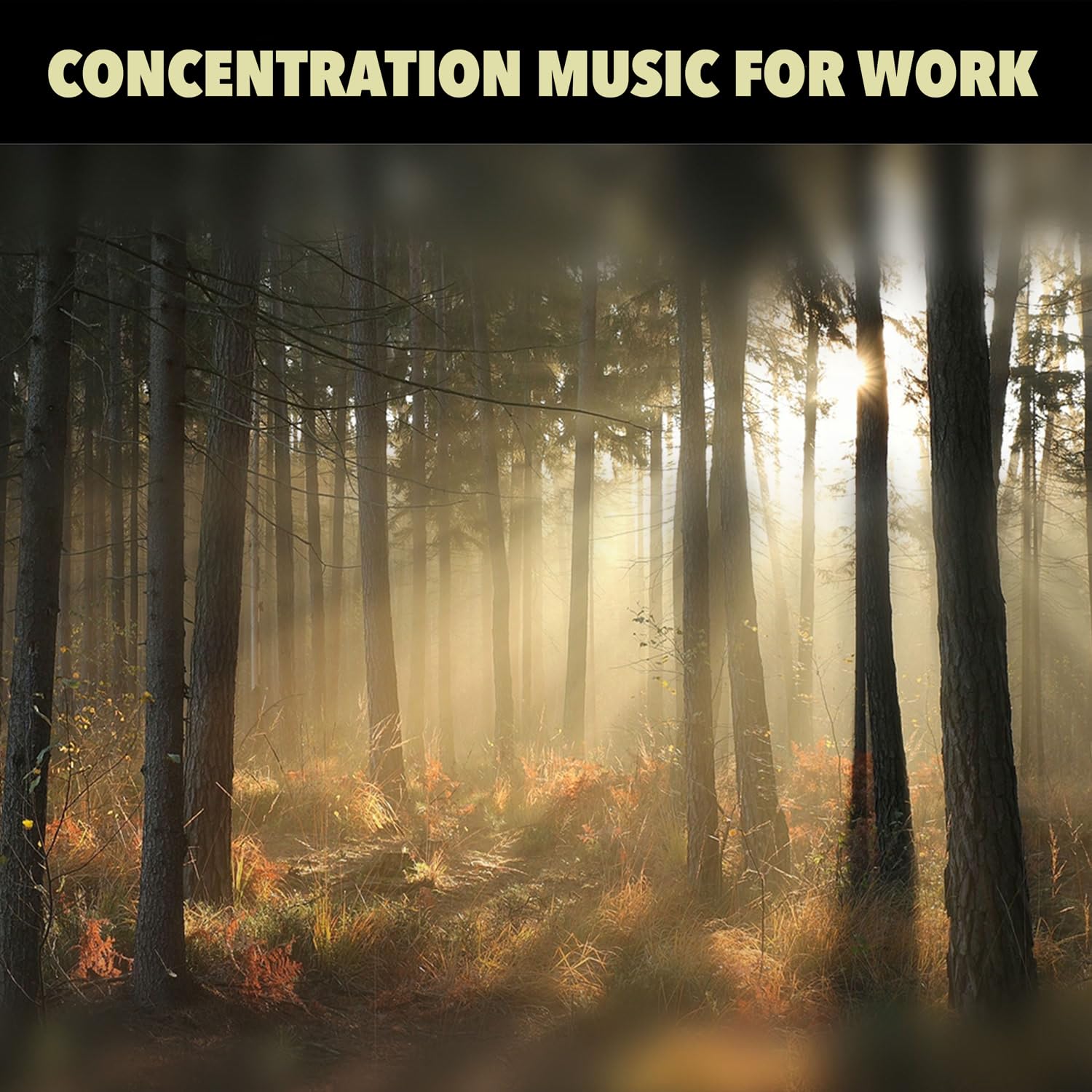 ADHD Study Focus song by Study Kids, Study Music & Sounds ...
