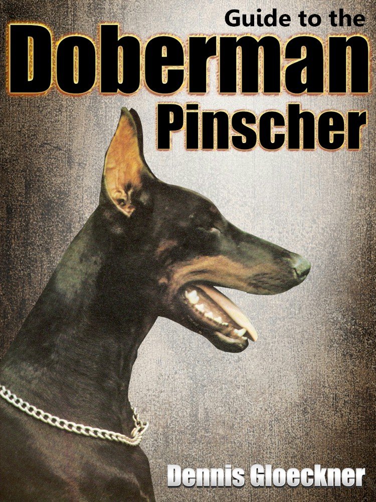 Amazon.com: Guide to the Doberman Pinscher eBook : Gloeckner, Dennis ...