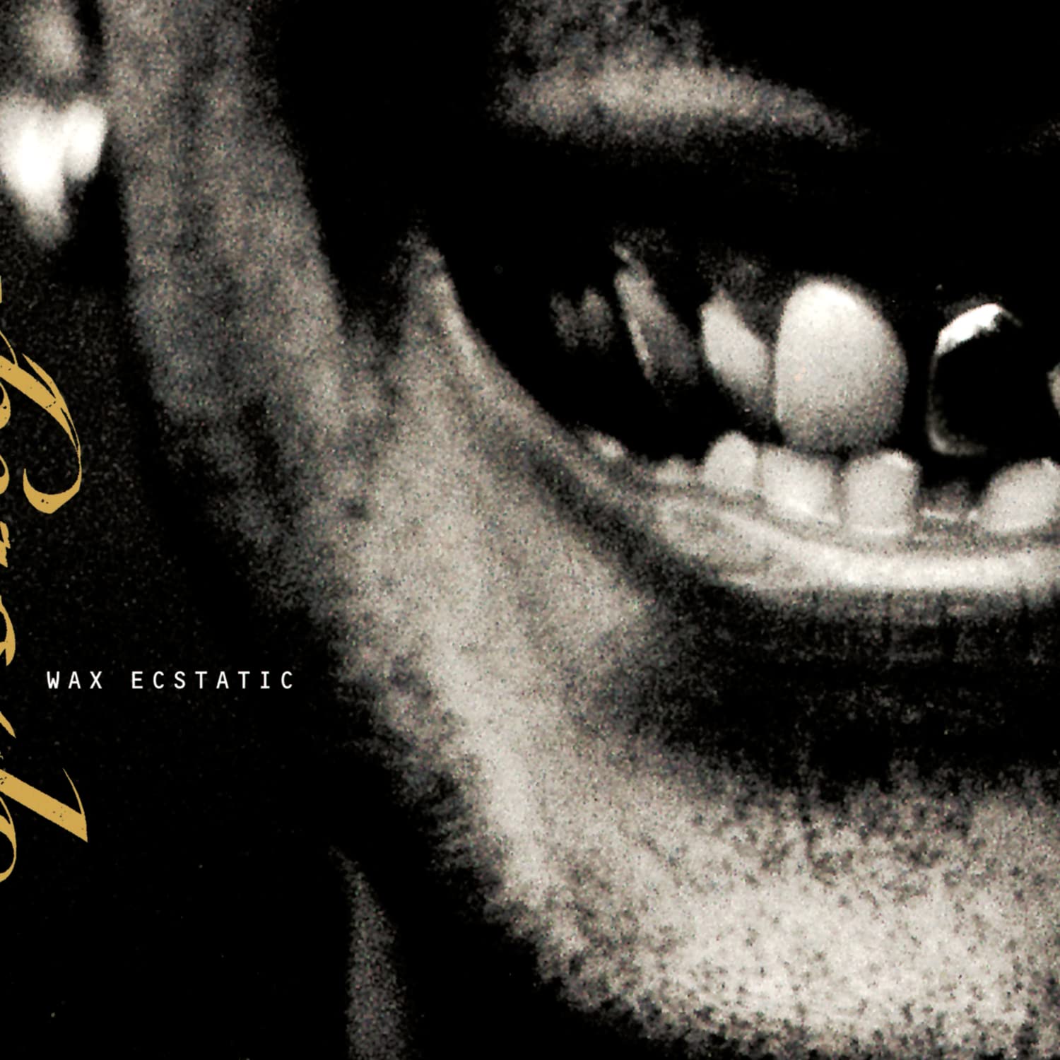Wax Ecstatic - Sponge: Amazon.de: Musik