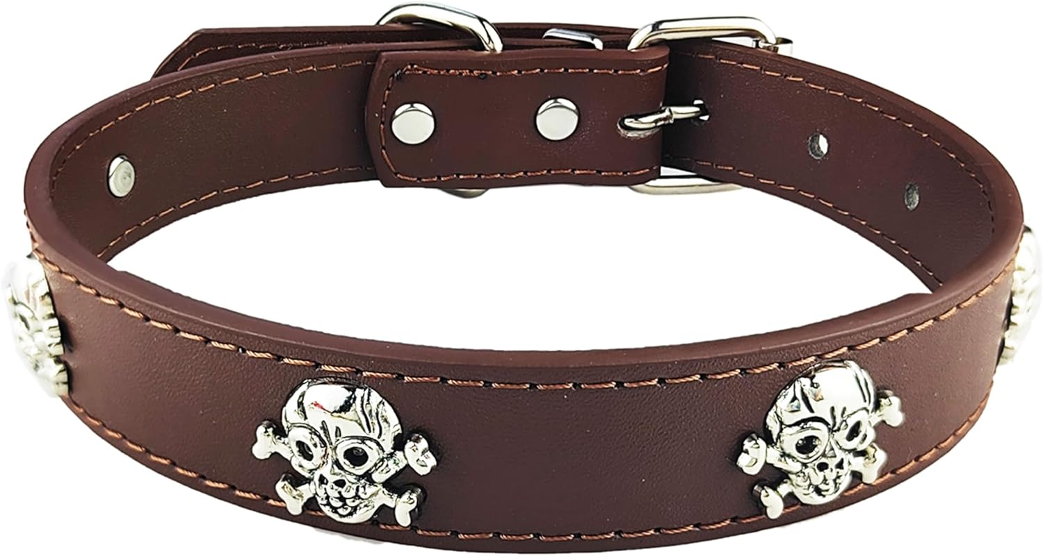 Amazon.com : AiliStar New Skull Dog Collar Skeleton Cat Collar Skull ...