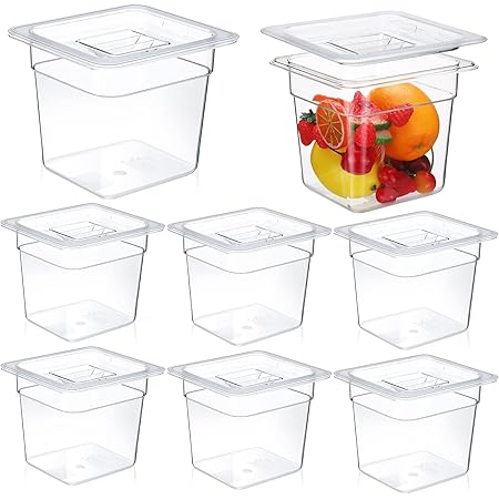 Amazon.com: 10 Pack Clear Food Pans with Lid Acrylic Transparent Food ...