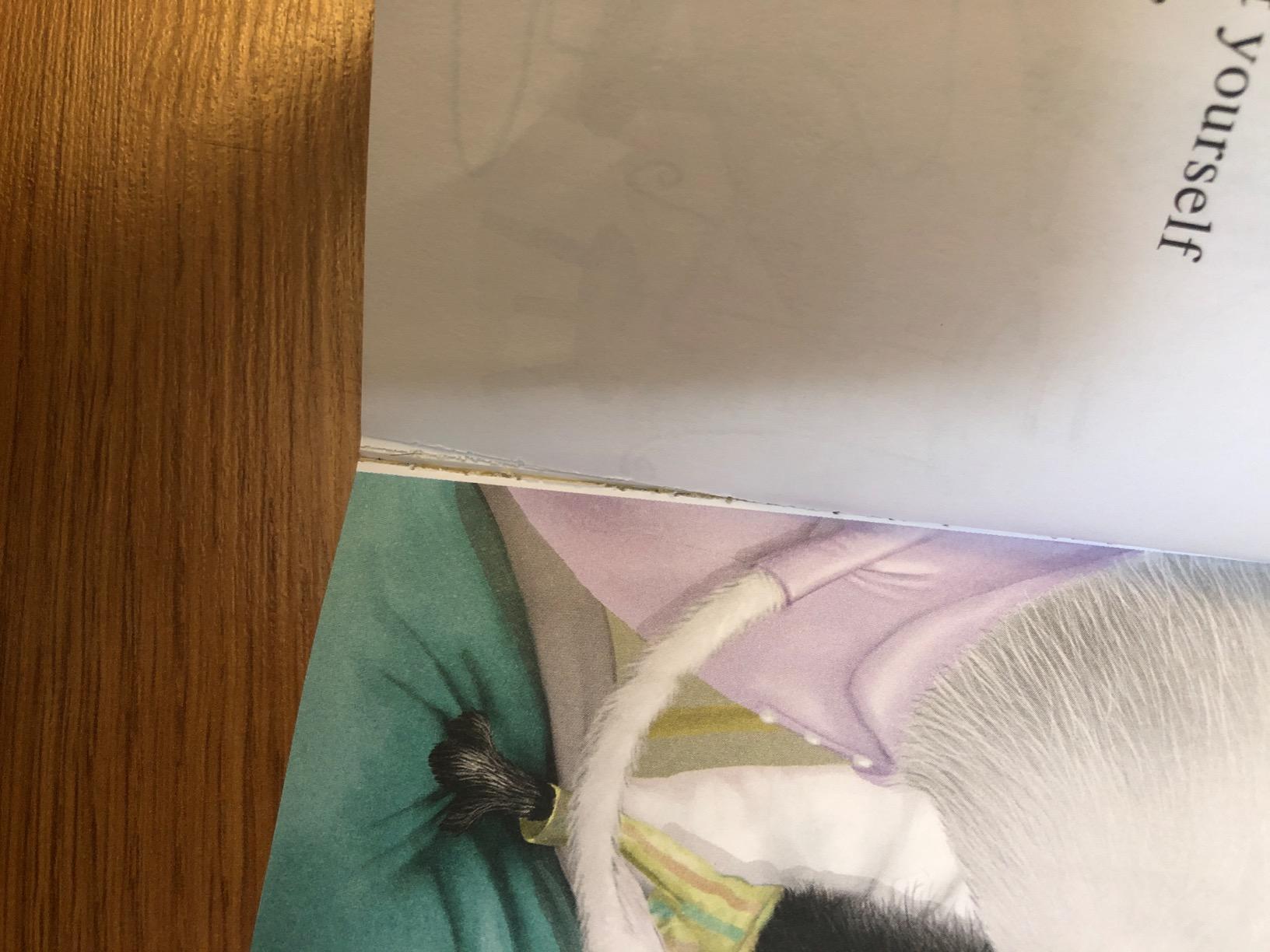 Amazon.com: Splat the Cat Gets a Job! (I Can Read Level 2 ...