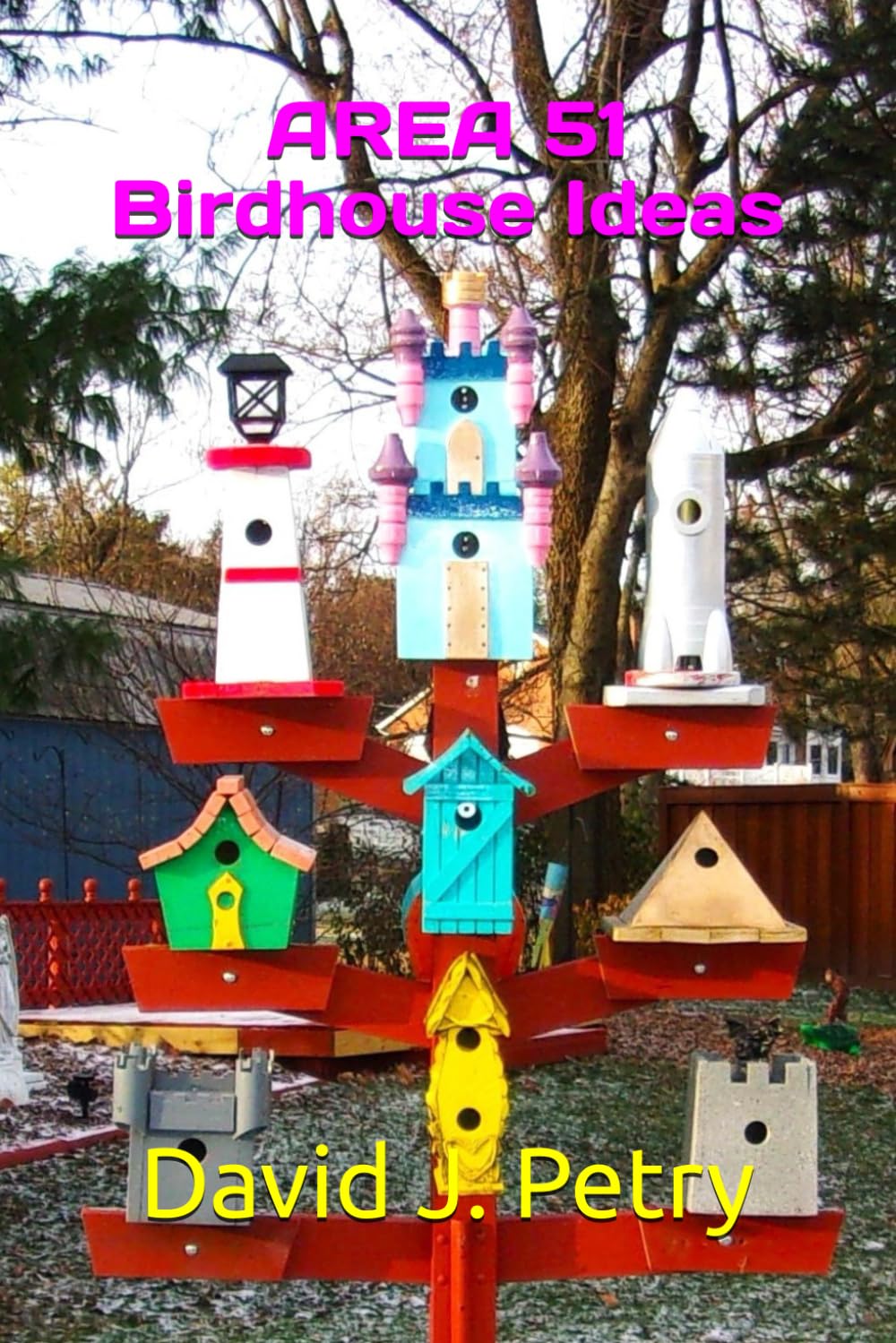 AREA 51 Birdhouse Ideas (Area 51 Model Rocketry): Petry, David ...