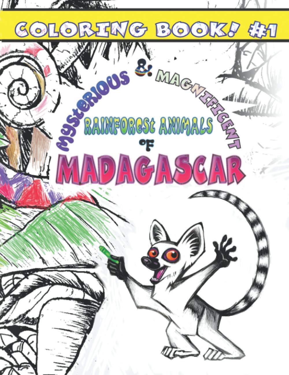 Mysterious & Magnificent Rainforest Animals of Madagascar: Coloring ...