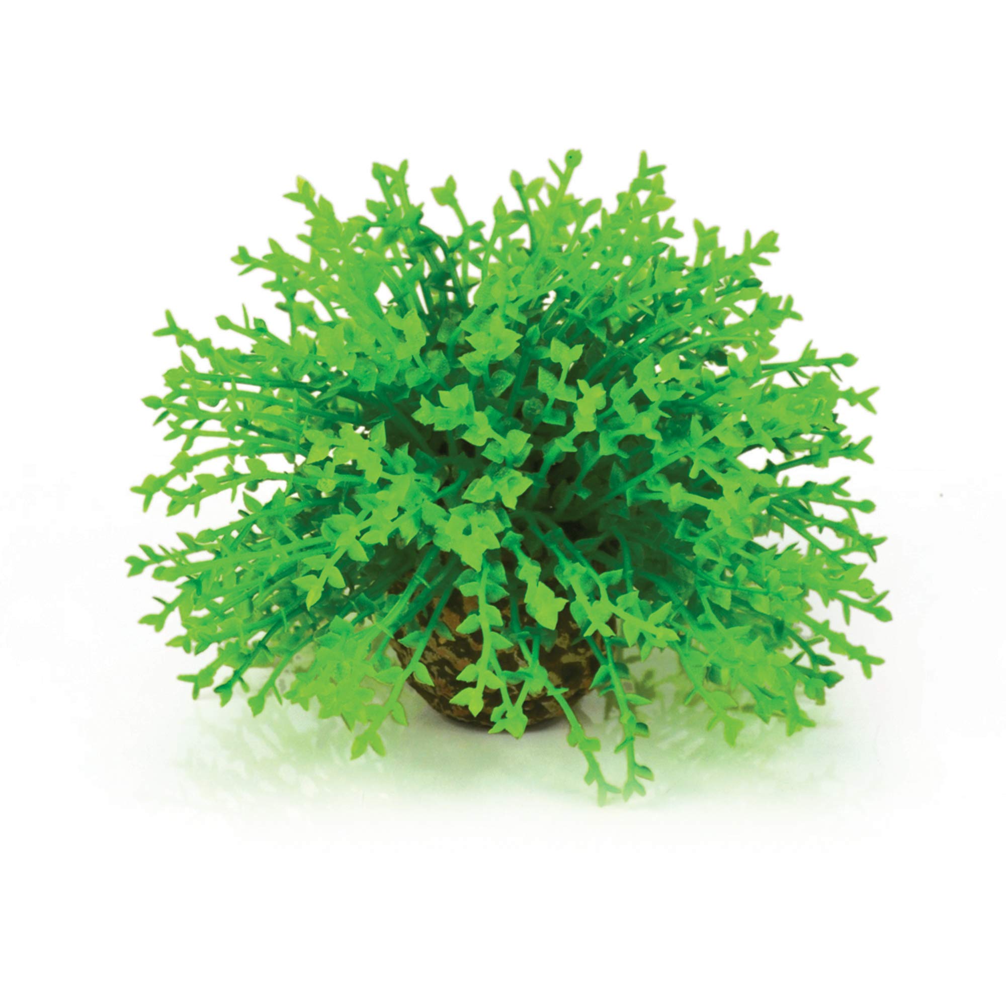 Snapklik.com : BiOrb 46087.0 Flower Ball Topiary Aquariums