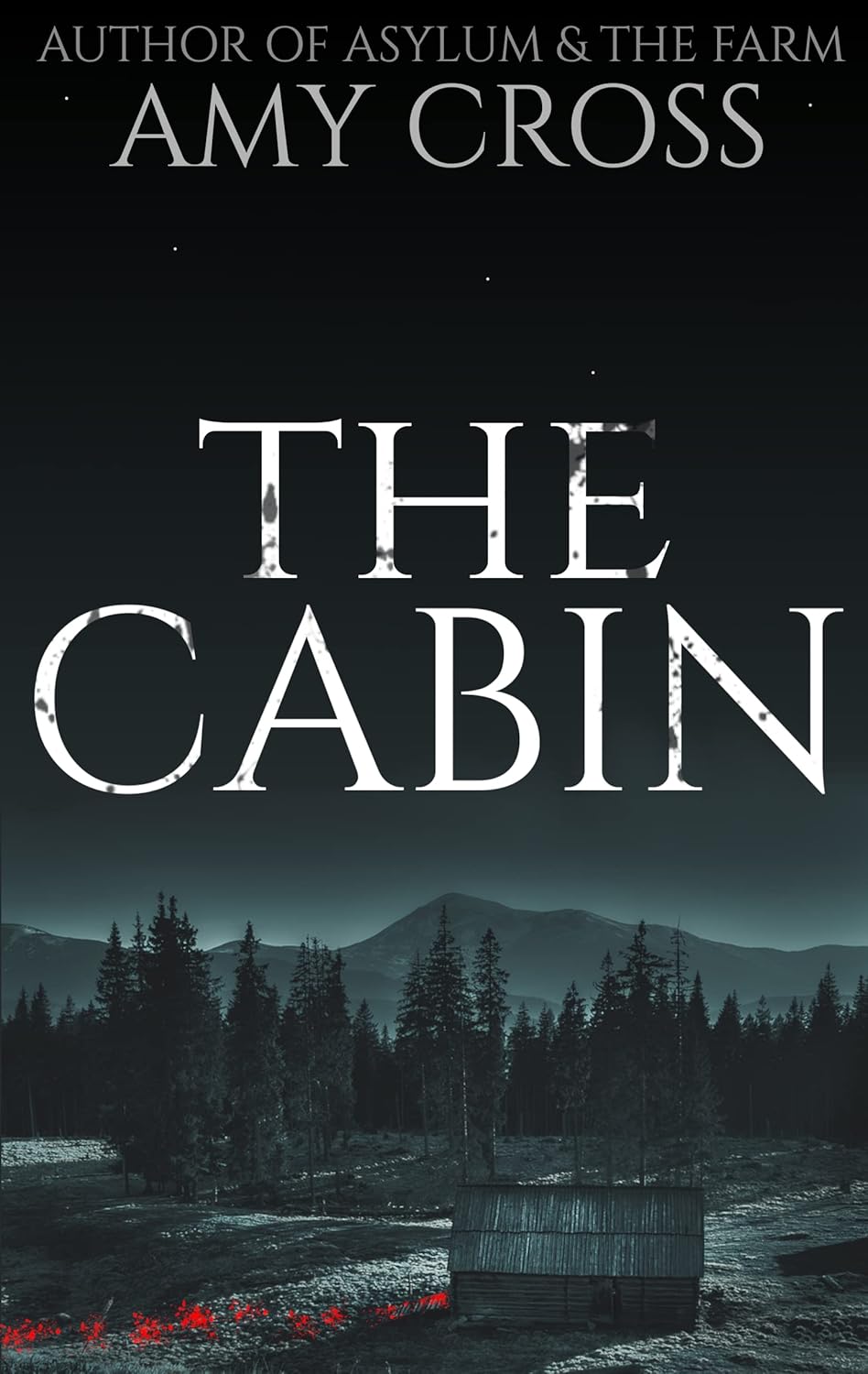 Amazon.com: The Cabin eBook : Cross, Amy: Books