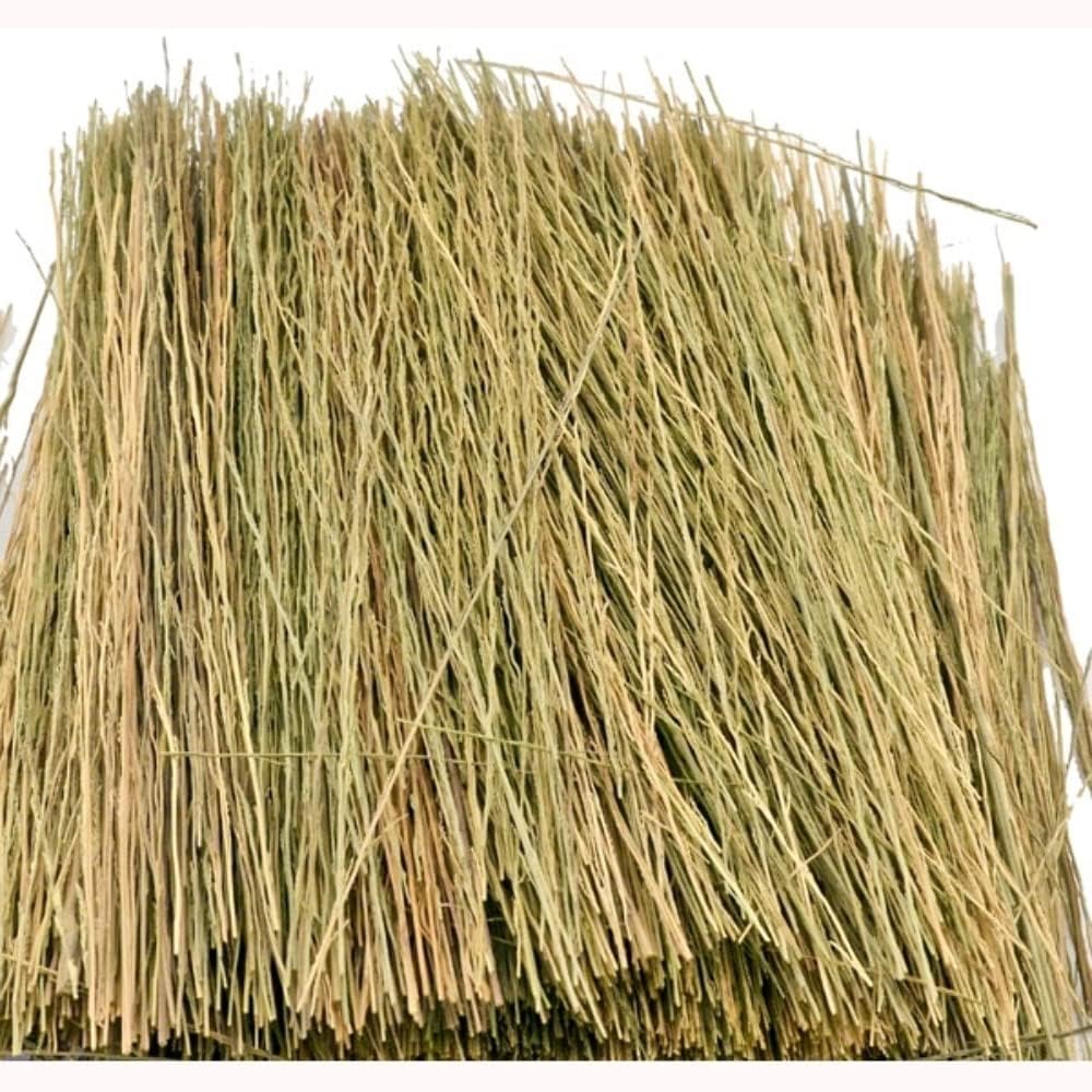 Amazon.com: JTT All Scale Field Grass - Natural Brown .5oz 15g : Arts ...