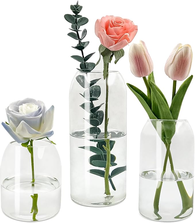 Amazon.com: HIGLASTO Glass Flower Vase, Glass Bud Vases 4,6,8 Inch ...