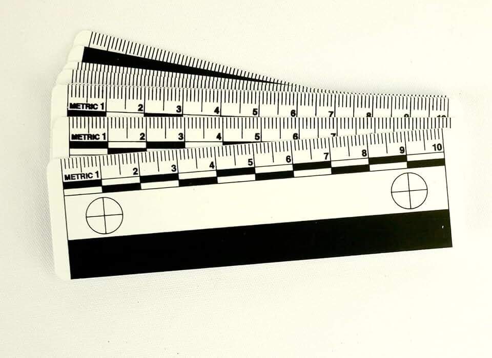 Amazon.com: Photo Scale Ruler