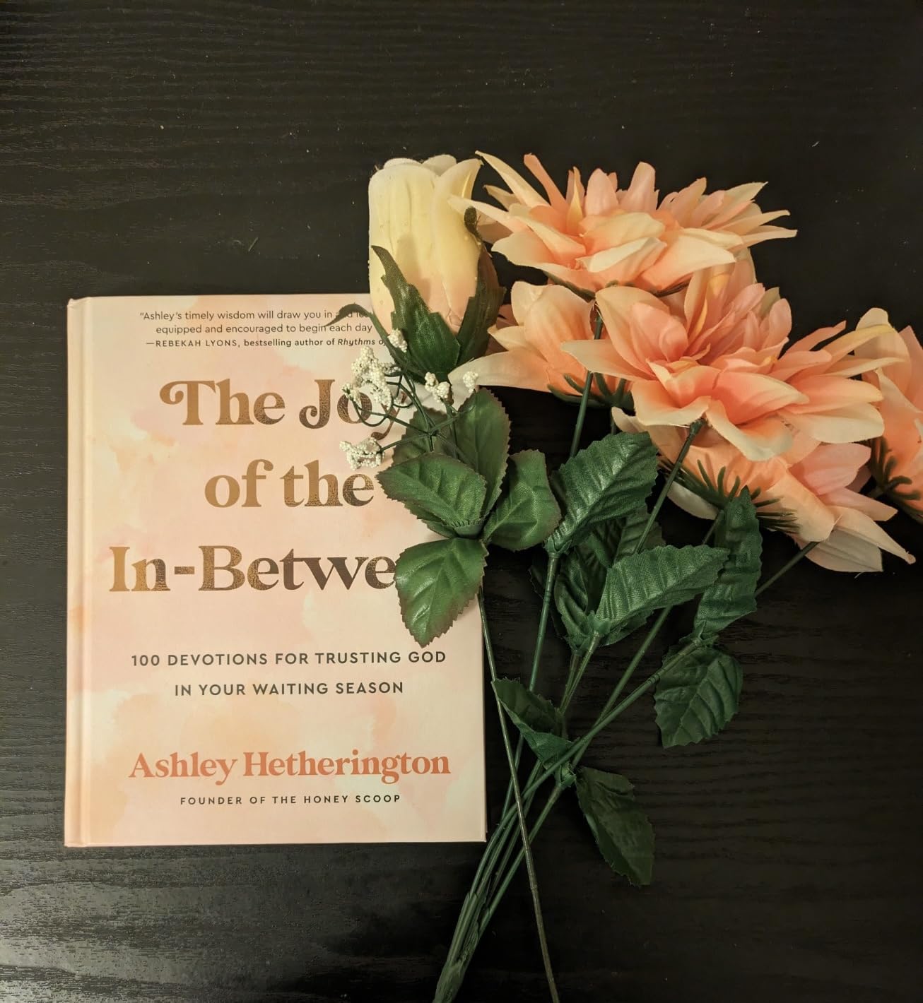 The Joy of the In-Between: 100 Devotions for Trusting God in Your ...