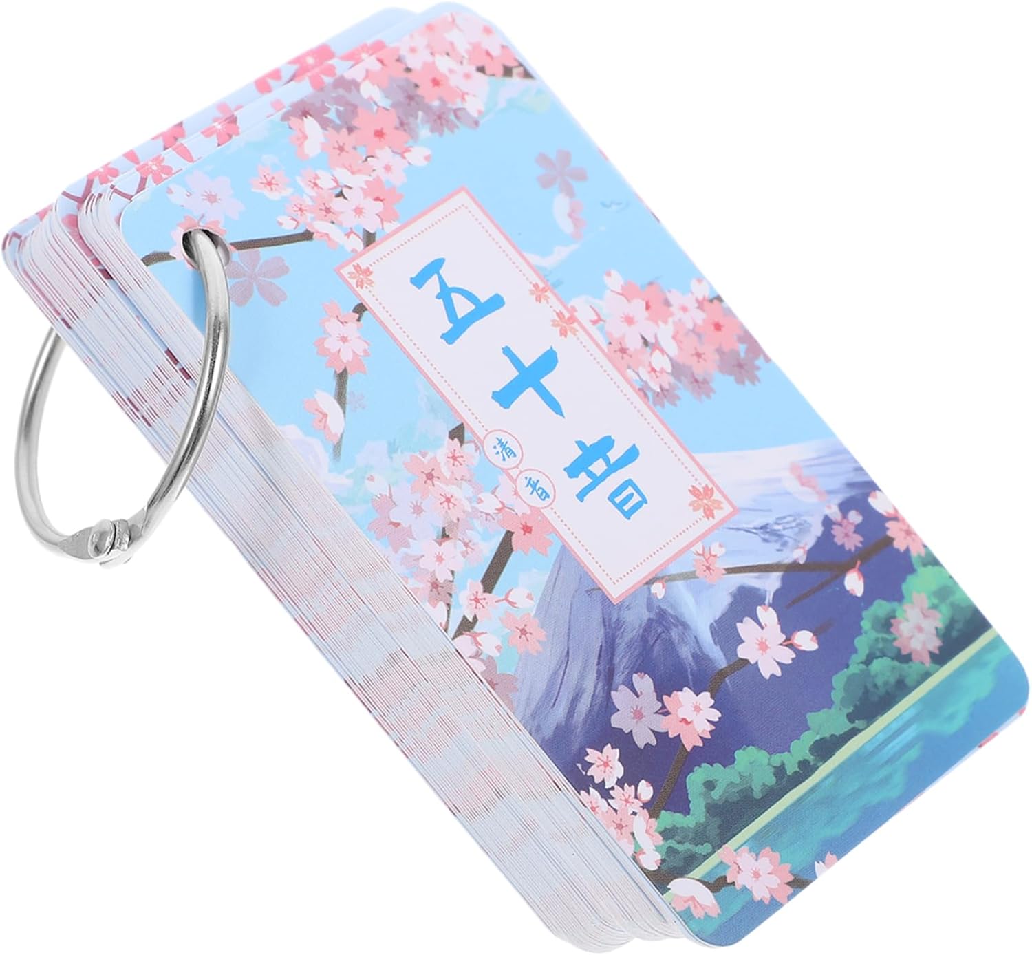 HEMOTON 2 Sets Japanese Learning Cards Katakana Chile | Ubuy