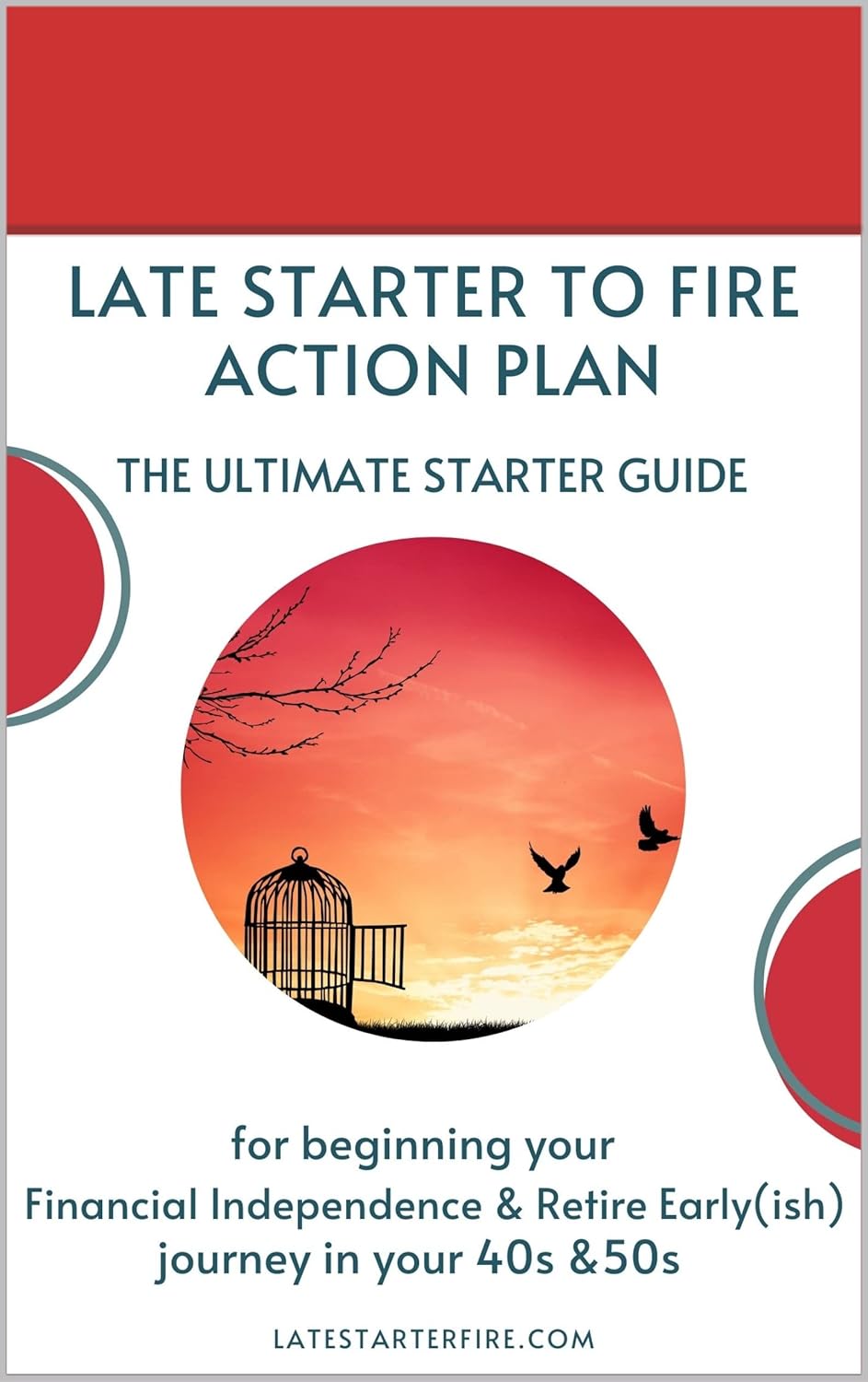 Amazon.com: Late Starter to FIRE Action Plan: The Ultimate Starter ...