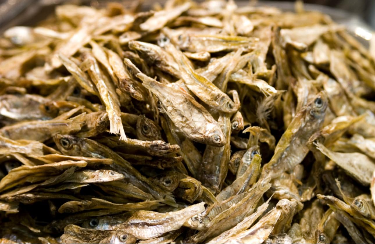 Charales secos o deshidratados 1kg : Amazon.com.mx: Alimentos y Bebidas