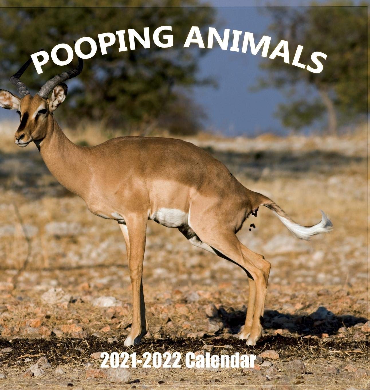 Buy Pooping Animals 2021-2022 Wall : Hilarious Gag Gift with 18 High ...