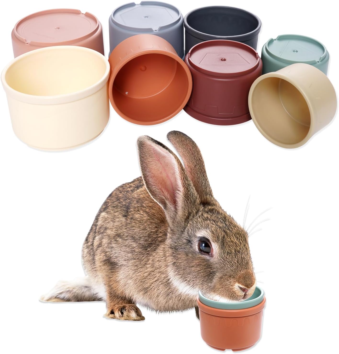 Amazon.com : 8 Pcs Stacking Cups for Rabbits, Multi-Colored Bunny Toys ...