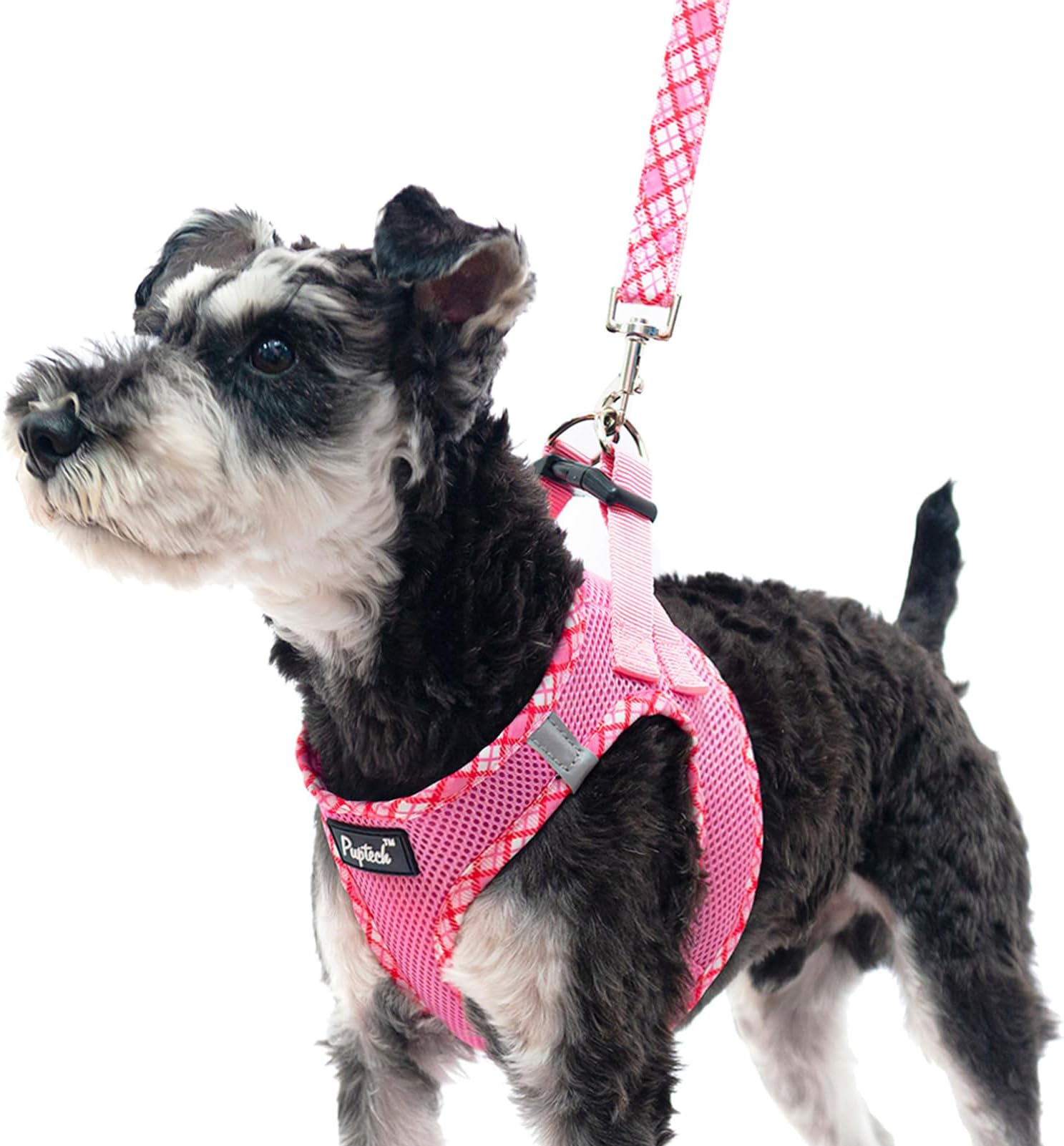 PUPTECK Step-in Dog Harness Small Dog No Pull Vest and Lead Set for ...